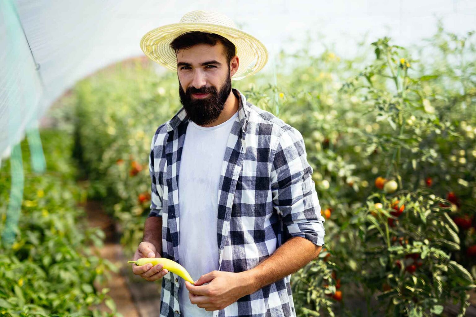 GPS Foods – Smart Supply, Fresh Results
